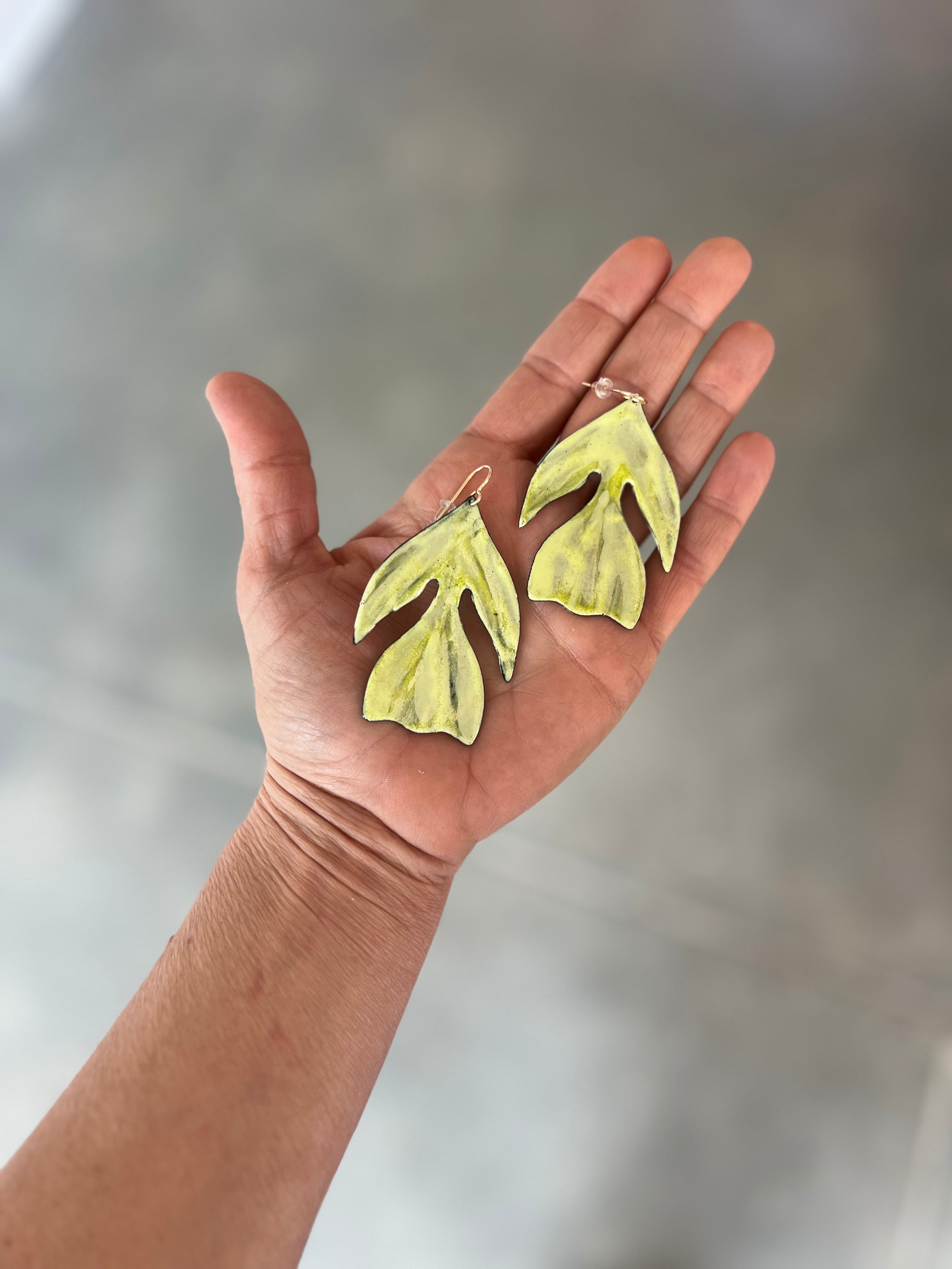 Shop Artists – Spoonbill Gallery